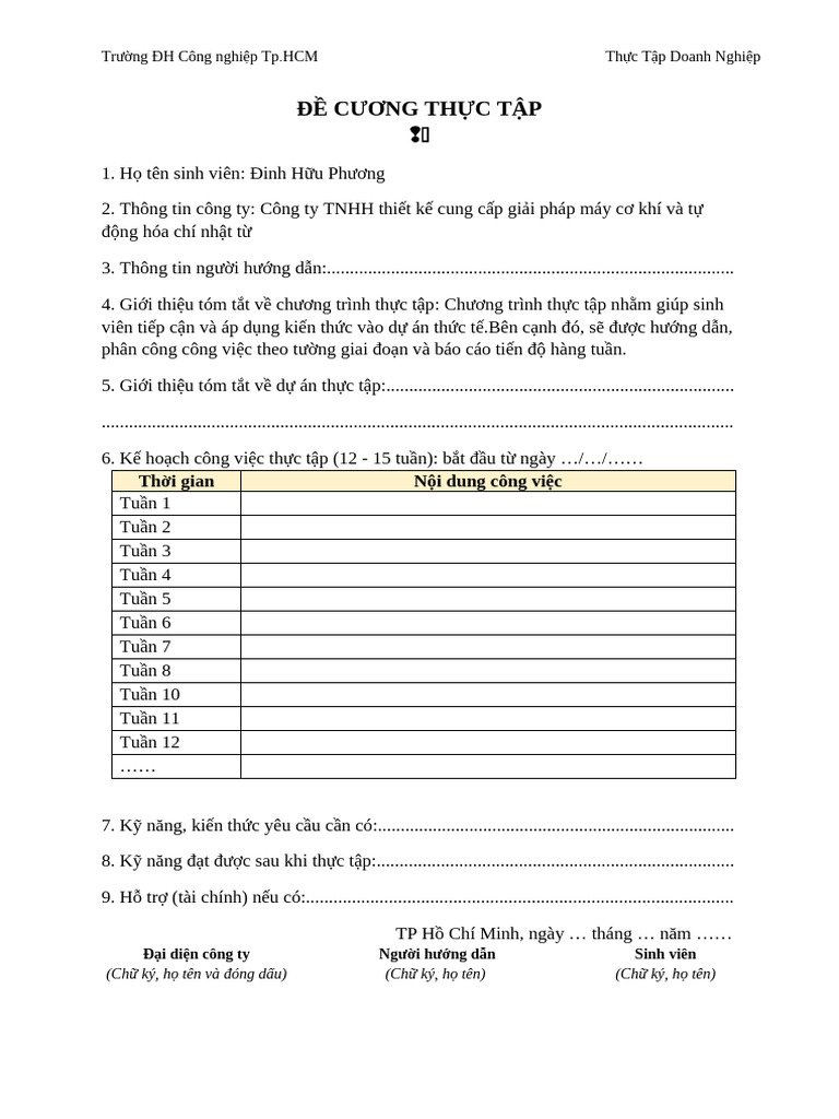 Mau de Cuong TTDN | PDF