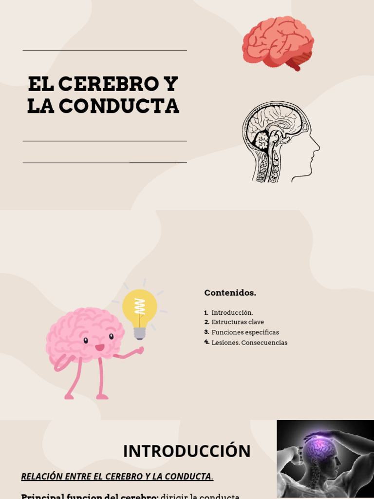 El Cerebro y La Conducta | PDF