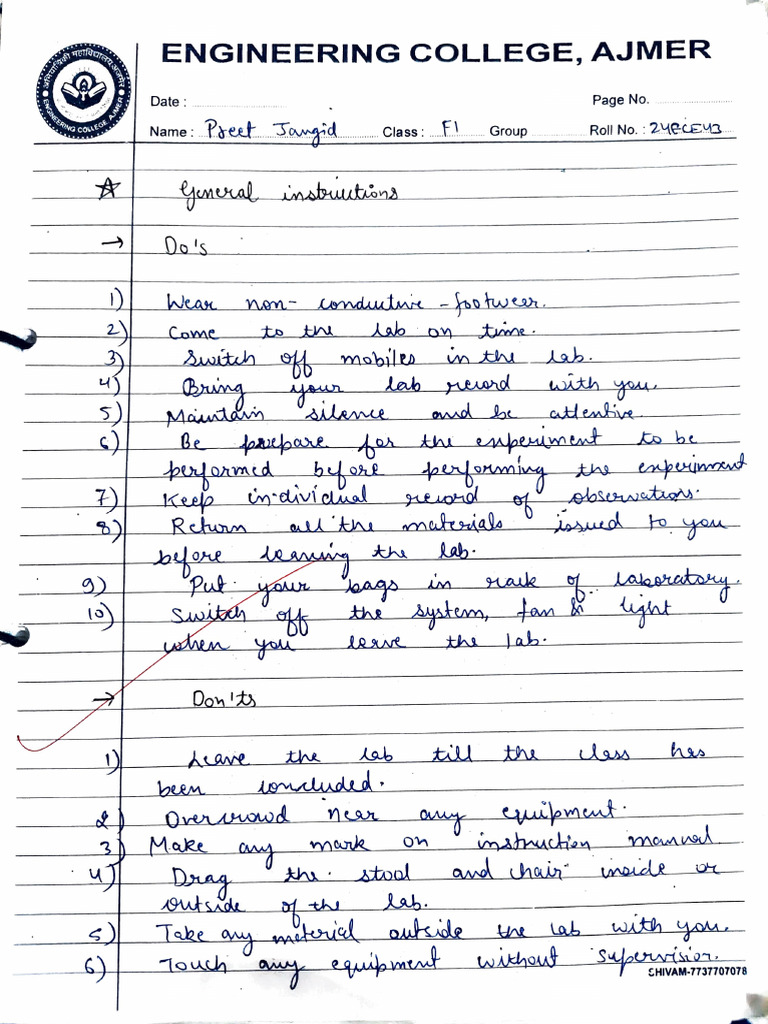 Bee Experiments K | PDF