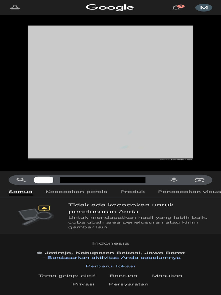 Penelusuran Google | PDF