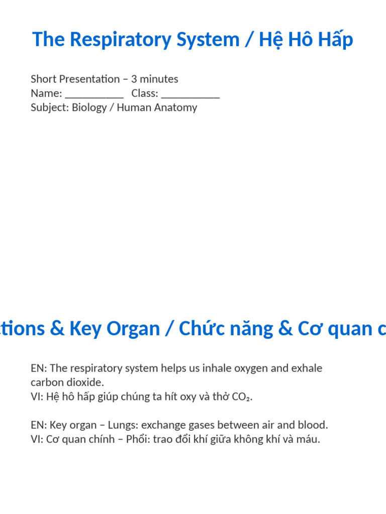 Respiratory System Presentation | PDF