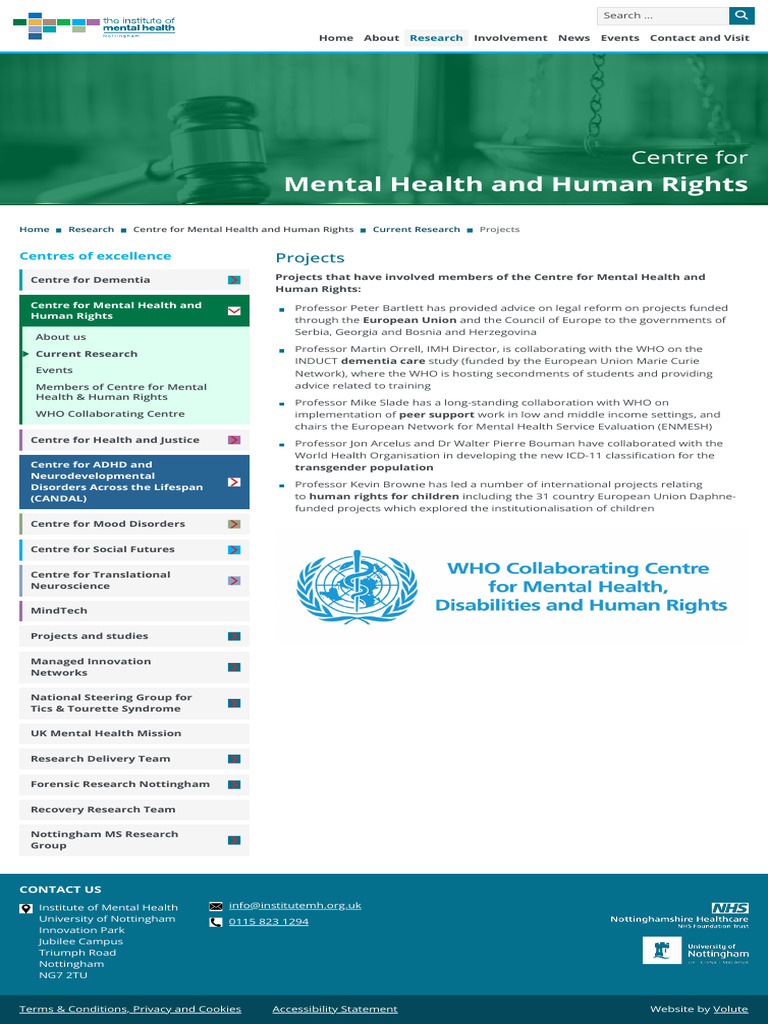 Mental Health Research Projects Overview | PDF | Mental Health ...