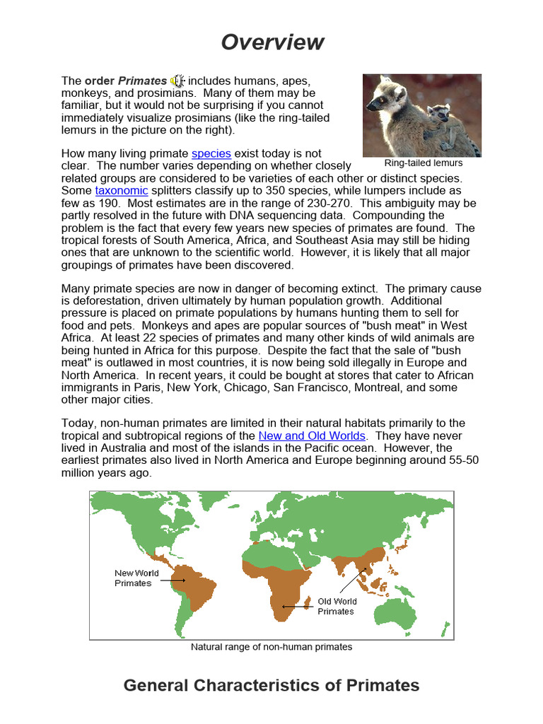 Ring-tailed Lemurs: Primate Overview | PDF | Thumb | Hand