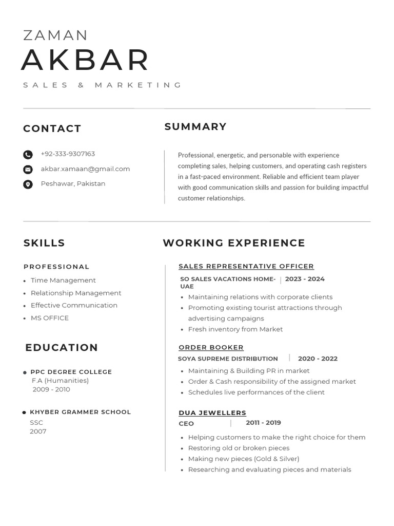 Sales Representative Profile - Peshawar | PDF