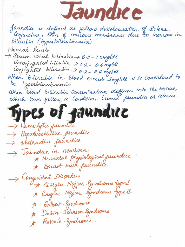 Jaundice Notes | PDF