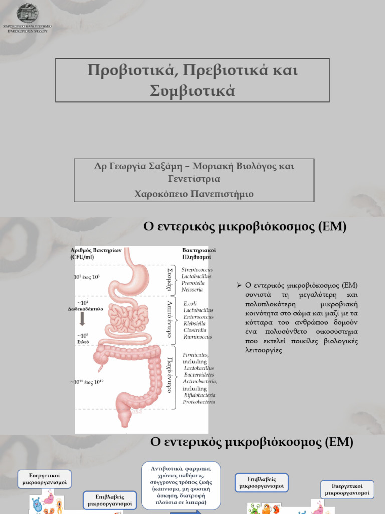 12η Παρουσίαση Probiotics Prebiotics Synbiotics | PDF