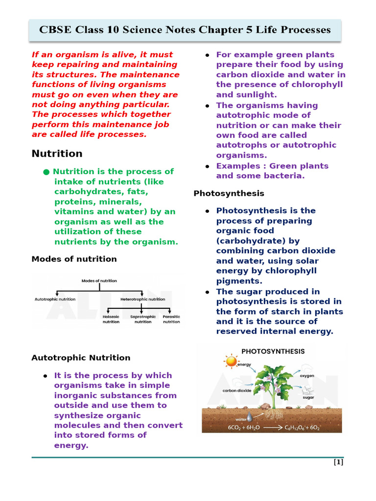 Cbse Class 10 Science Notes Chapter 5 Life Processes | PDF | Nutrition ...