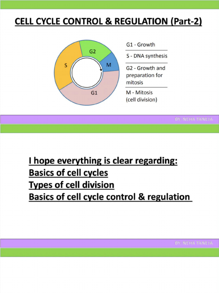 Cell Cycle Control Regulation I No Anno | PDF