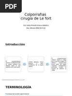 Colpoperineoplastia: Técnica y Procedimiento | PDF