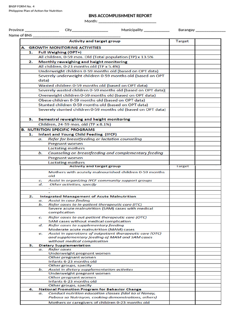 BNS Accomplishment Report Template | PDF