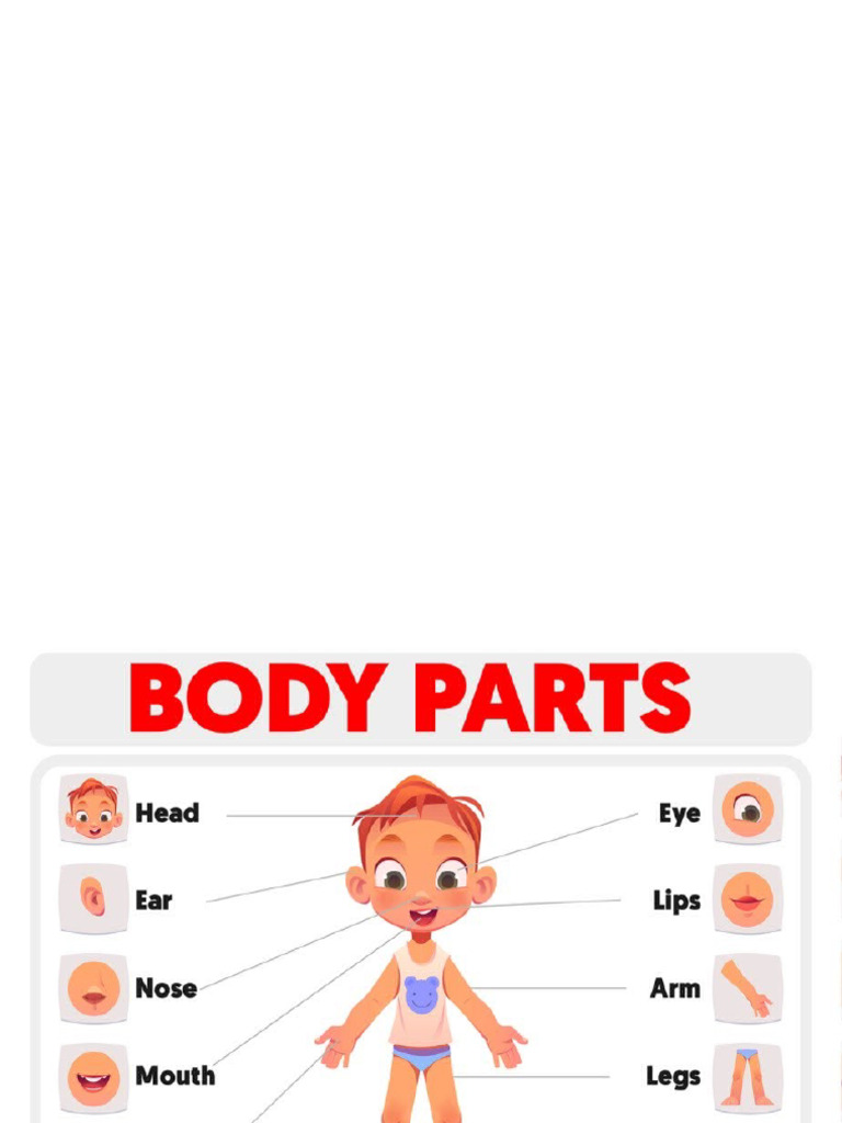 Grade 2, Con, Unit 2 | PDF