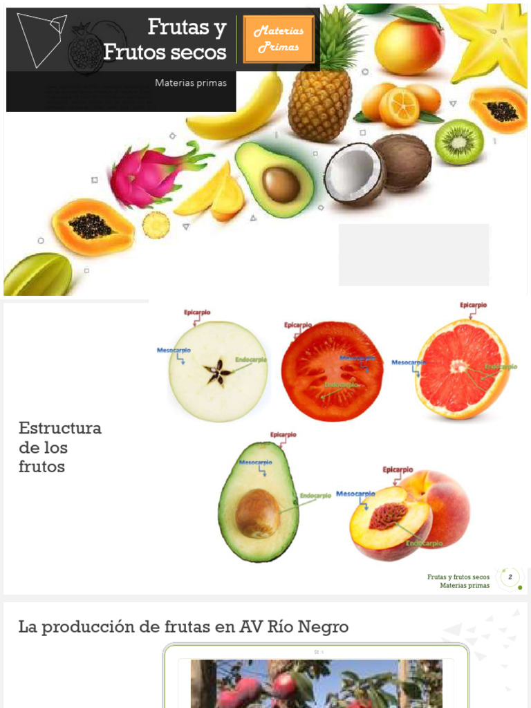 (2021) 08 - MP - Frutas y Frutos Secos | PDF | Naranja) | Fruta
