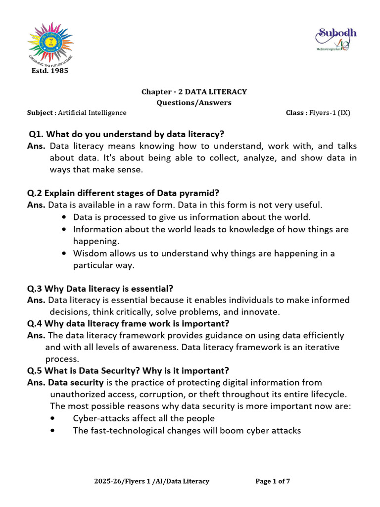 AI - IX - Ch2 - Data Literacy | PDF | Data | Qualitative Research