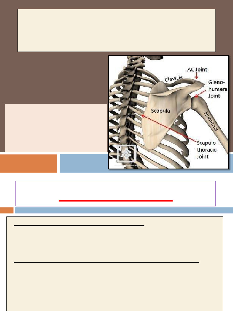 Mechanics of the Shoulder Complex | PDF | Shoulder | Anatomical Terms ...