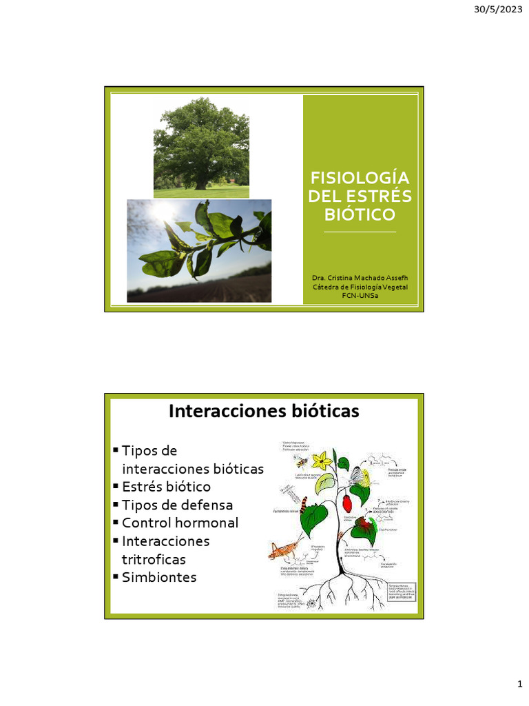 Clase 24 - Fisiologia Del Estres Biotico - 2023 | PDF | Biología