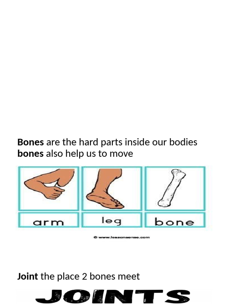 5th Grade Science Class The Skeleton System | PDF