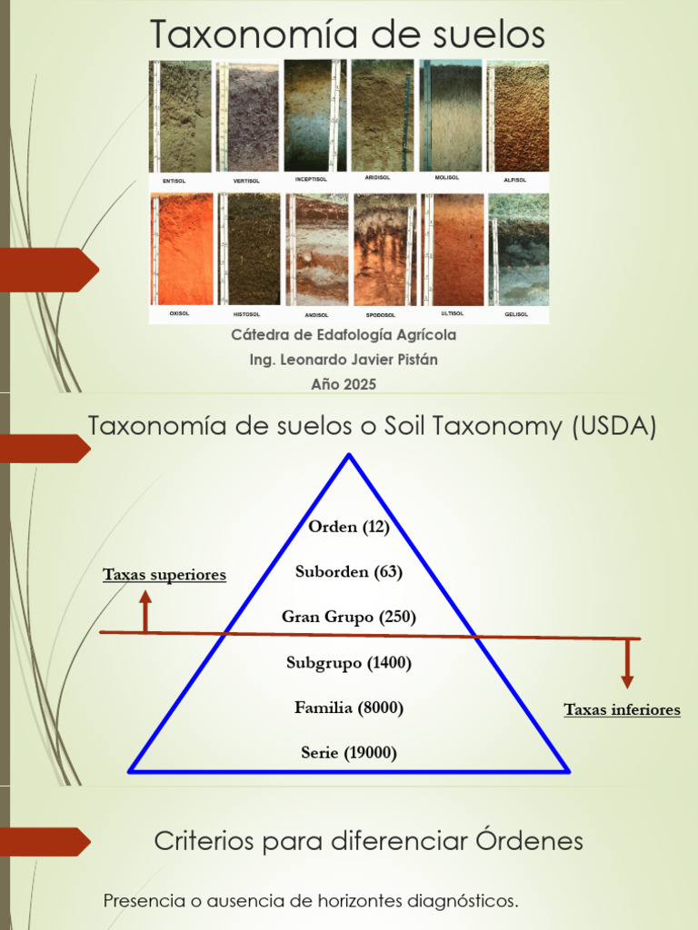 Taxonomía de Suelos 2025 | PDF | Horticultura | Materiales naturales