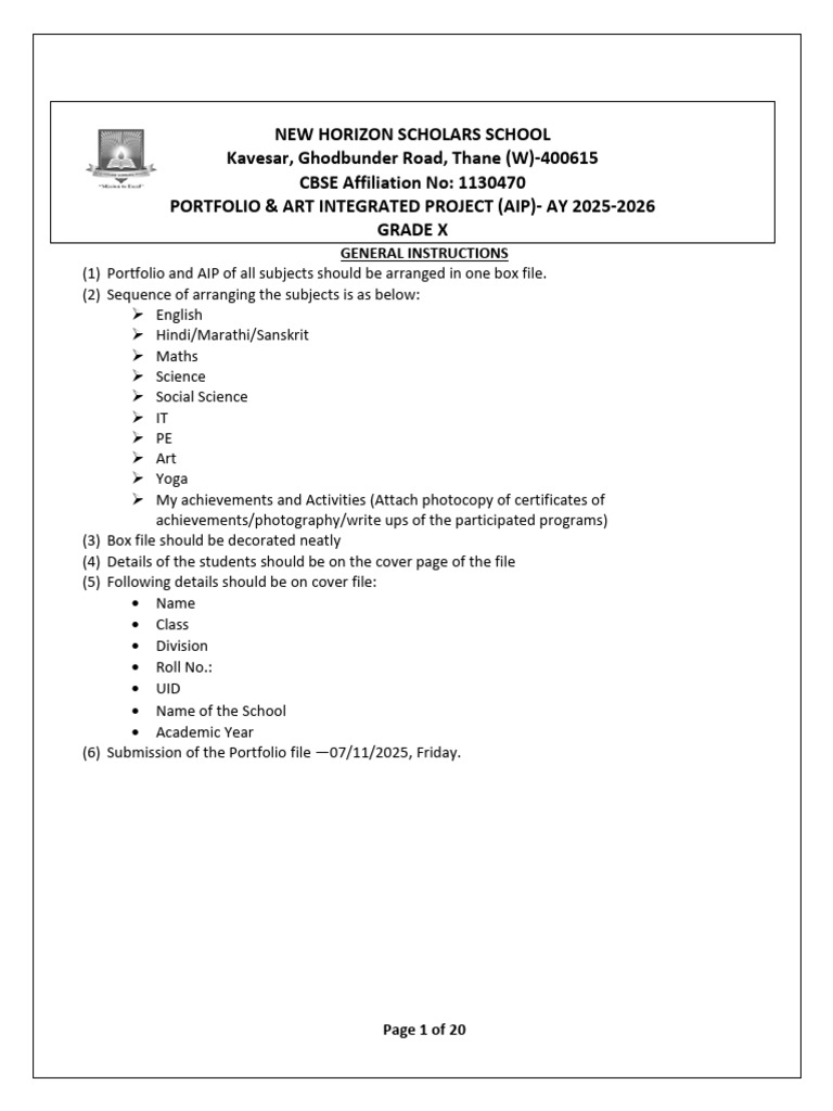 Class 10 Portfolio & AIP Guidelines | PDF