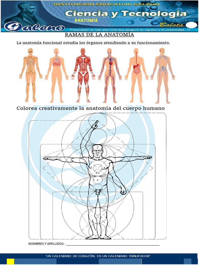Anatom A 17 Marzo | PDF