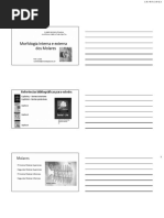 Anatomia do Dente 27: Molar Superior | PDF | Raiz | Dente