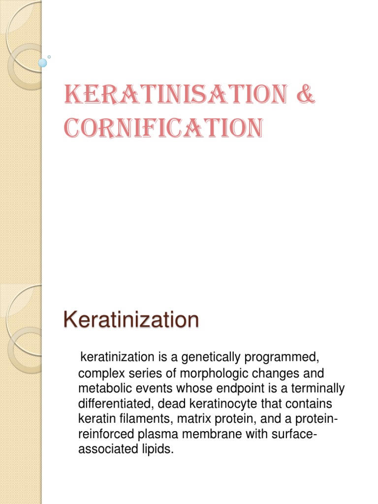 Keratinisation and Cornification | Epidermis | Cell (Biology)
