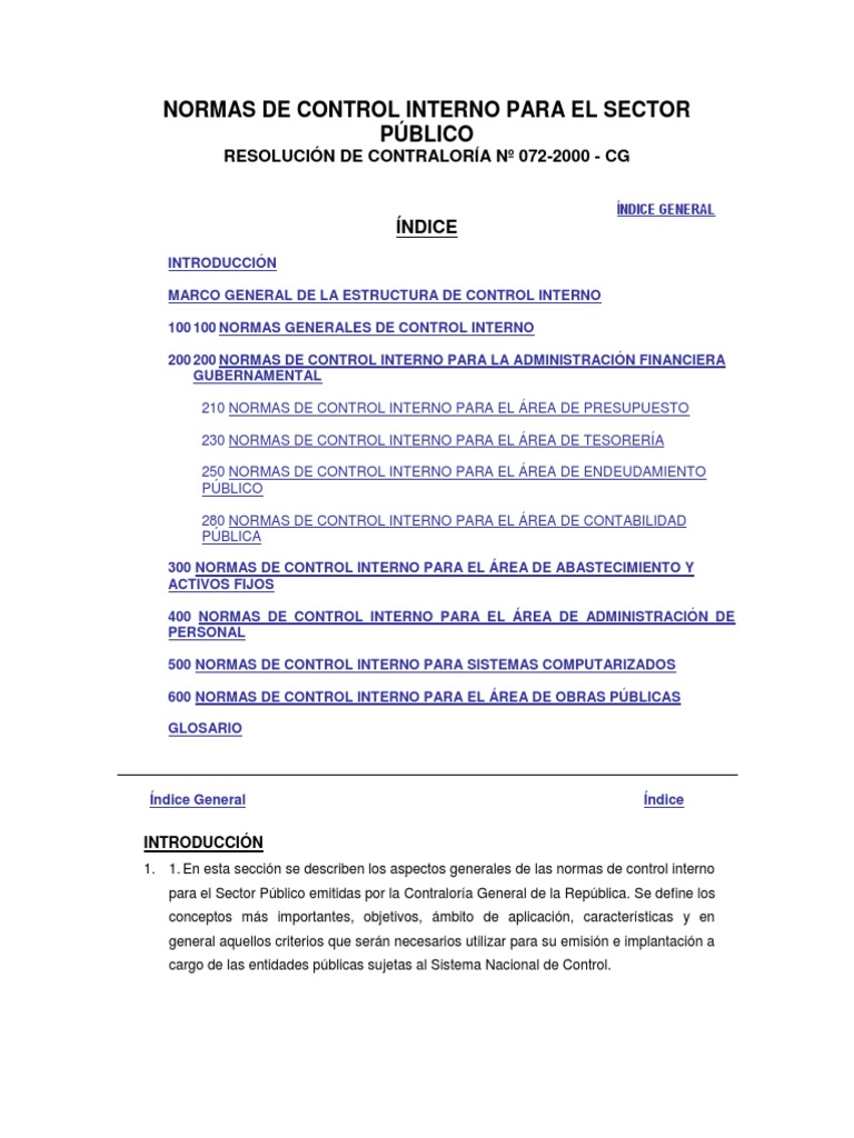 Normas de Control Interno para El Sector Público | PDF | Contabilidad ...