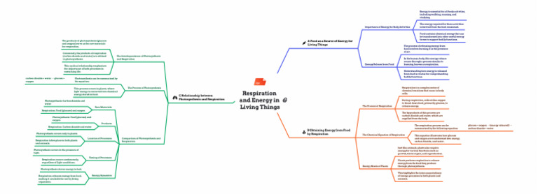 Respiration and Energy in Living Things | PDF | Cellular Respiration ...