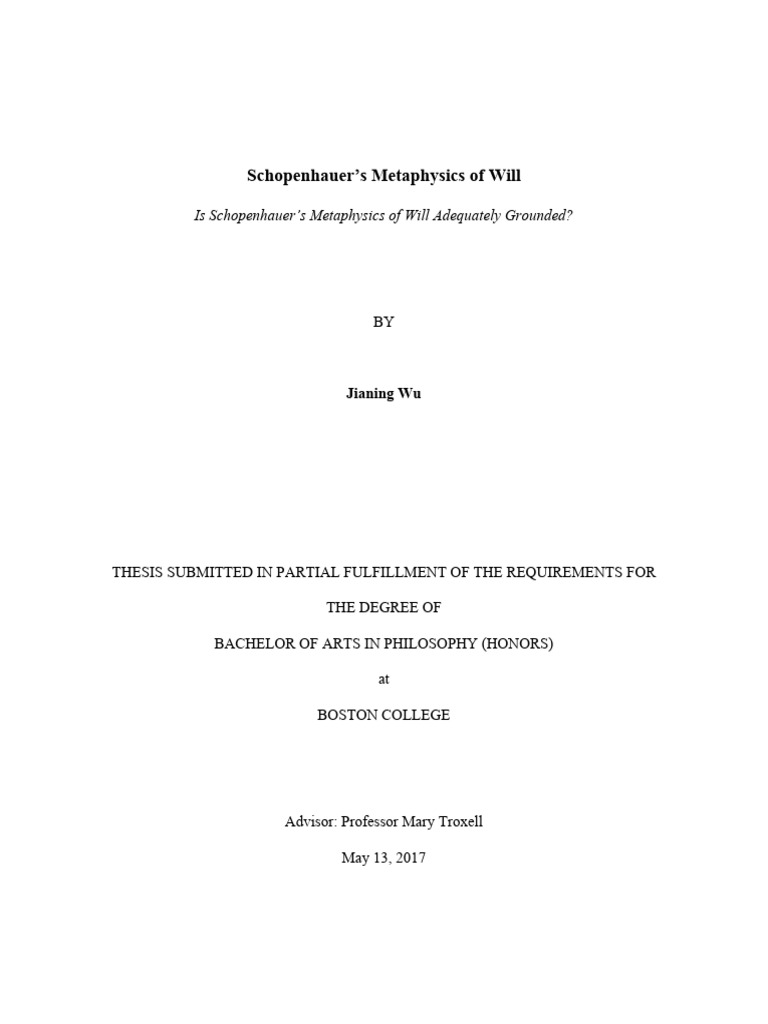 Schopenhauers Metaphysics of Will | PDF | Arthur Schopenhauer | The ...