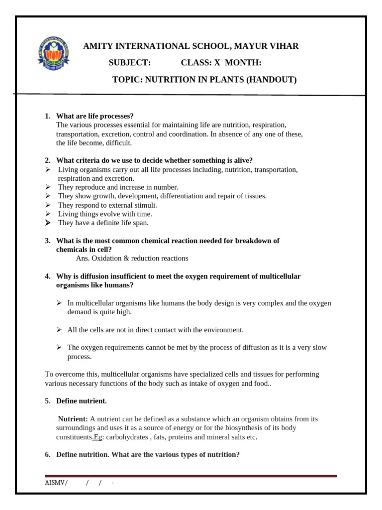 Nutrition in Plants: Class X Handout | PDF | Nutrition | Diet & Nutrition
