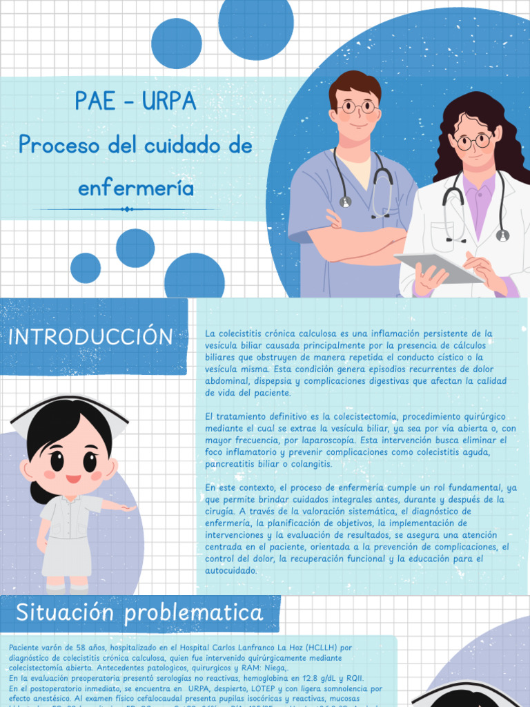 Pae - Urpa Proceso Del Cuidado de Enfermería | PDF | Especialidades ...