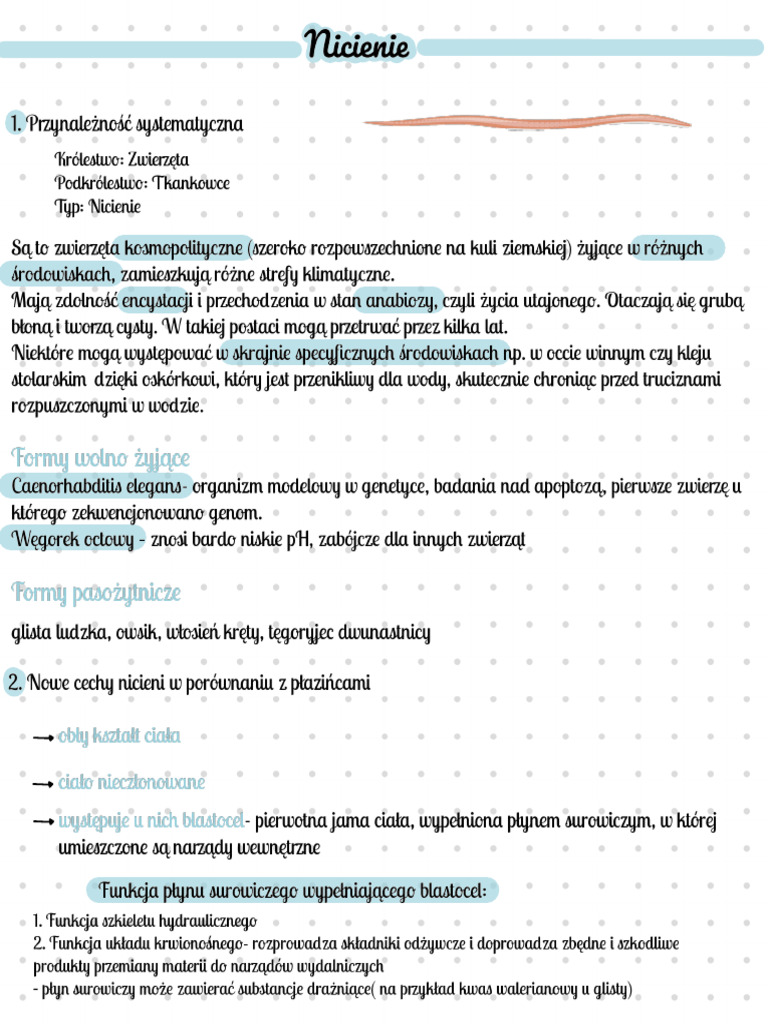 Nicienie | PDF