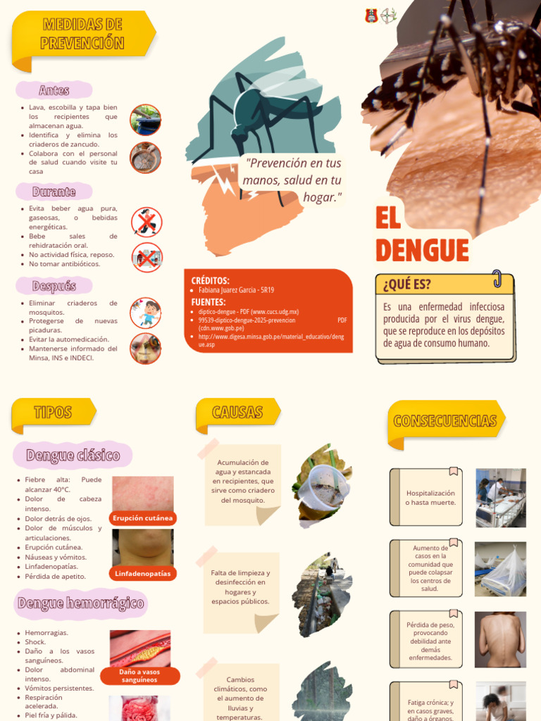 5R19 - Tríptico Dengue | PDF | Medicina | Medicina CLINICA