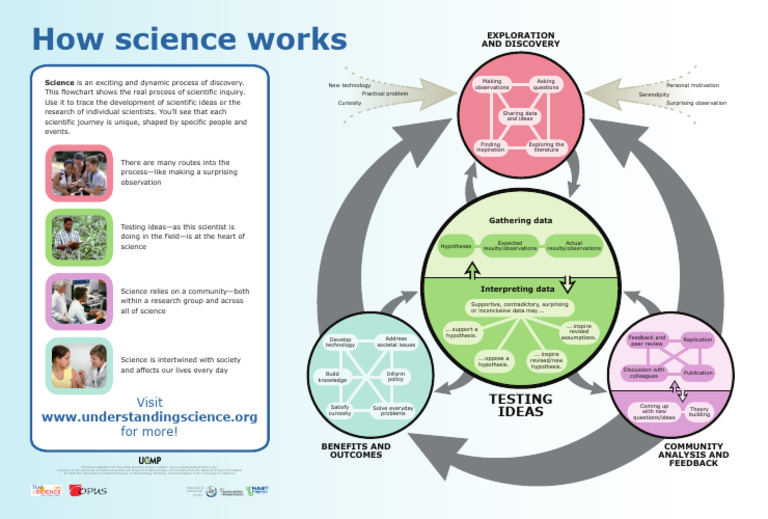 Understanding the Science Process Flowchart | PDF | Science | Hypothesis