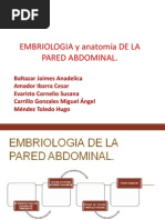 Niveles Axilares de Berg | PDF | Finanzas y dinero