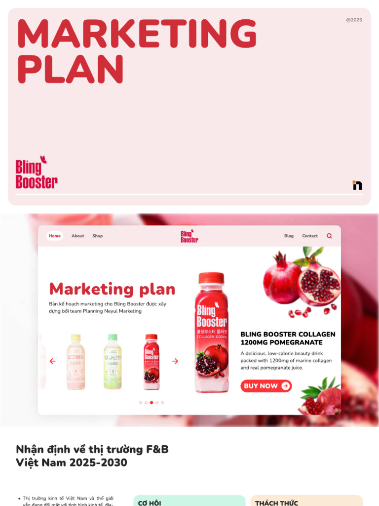 FNB Marketing Plan | PDF