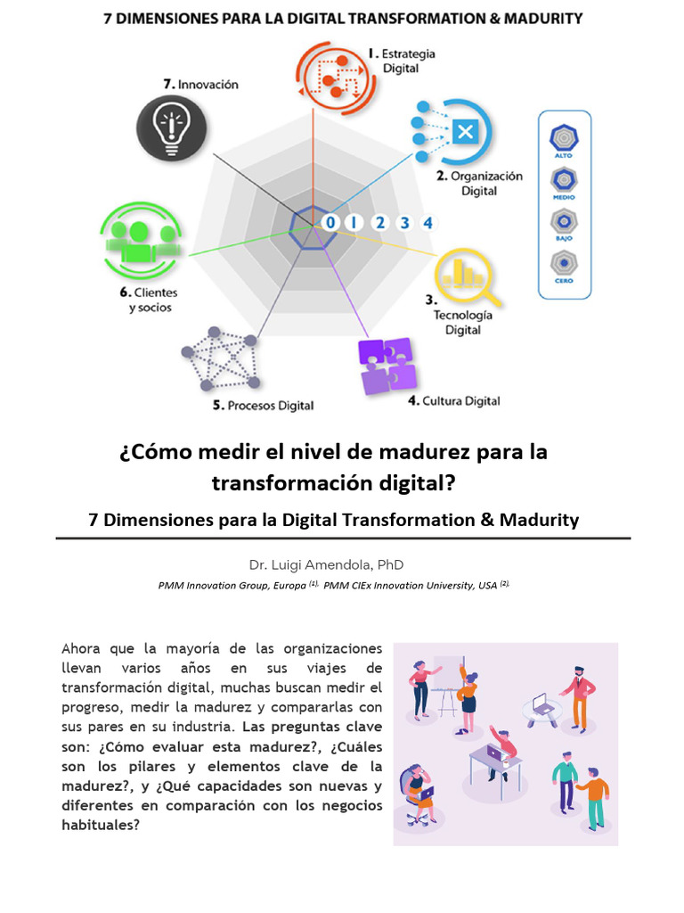 Nivel de Madurez para La Transformaci N Digital 1607088225 | PDF | Business | Economias