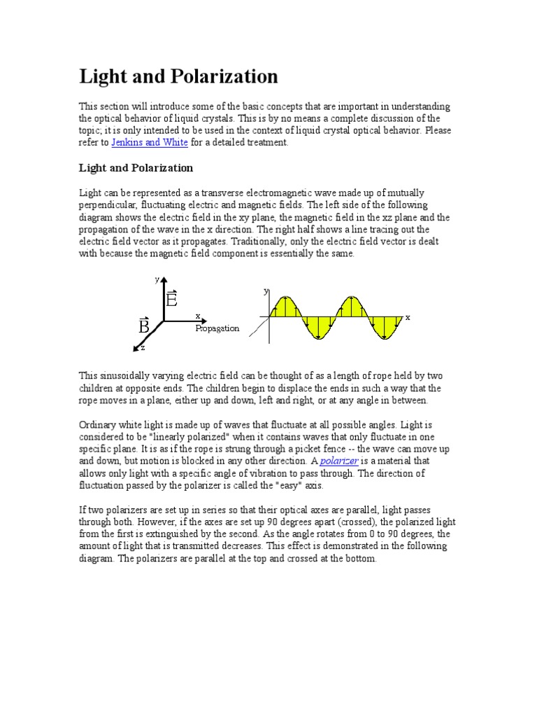 Light and Polarization | PDF | Polarization (Waves) | Waves