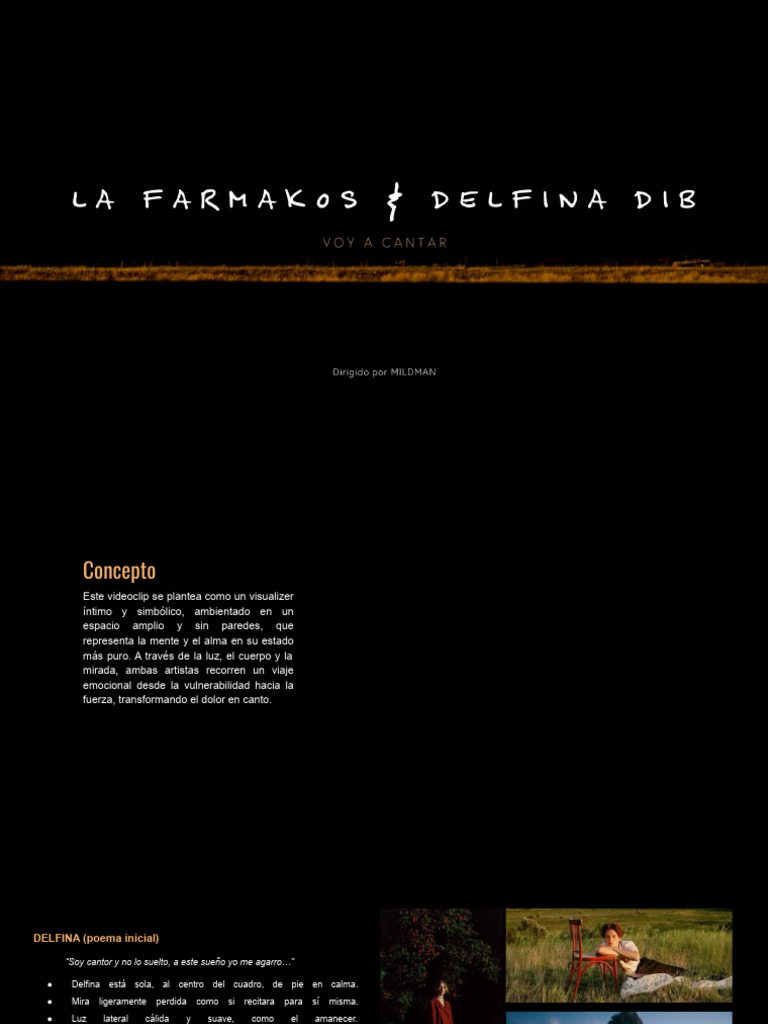 Propuesta Visual Voy A Cantar - LA FARMAKOS X DELFINA | PDF
