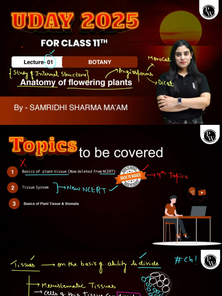 Anatomy of Flowering Plants 01 Class Notes Uday 2025 | PDF