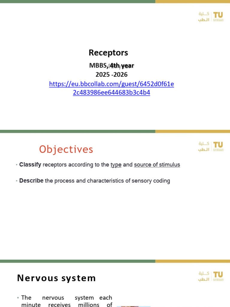 MBBS - Receptors Physiology 4th Yr - 2025-2026 | PDF | Stimulus ...