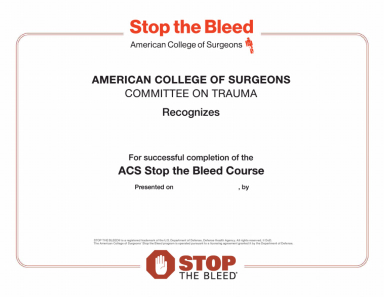 Certificate STB ACS Miguel Meléndez | PDF