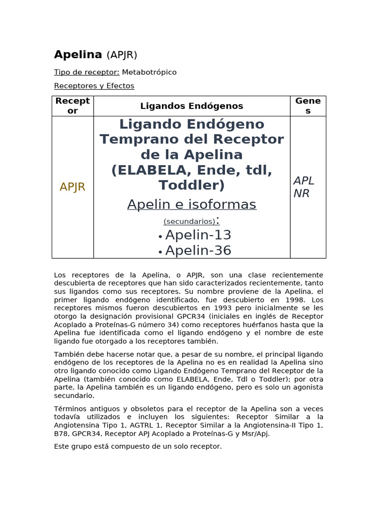 Receptores de La Apelina-Apelin Receptors | PDF | Artería | Corazón