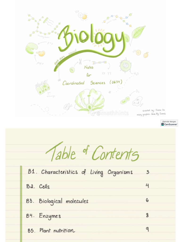 IGCSE Biology Notes | PDF