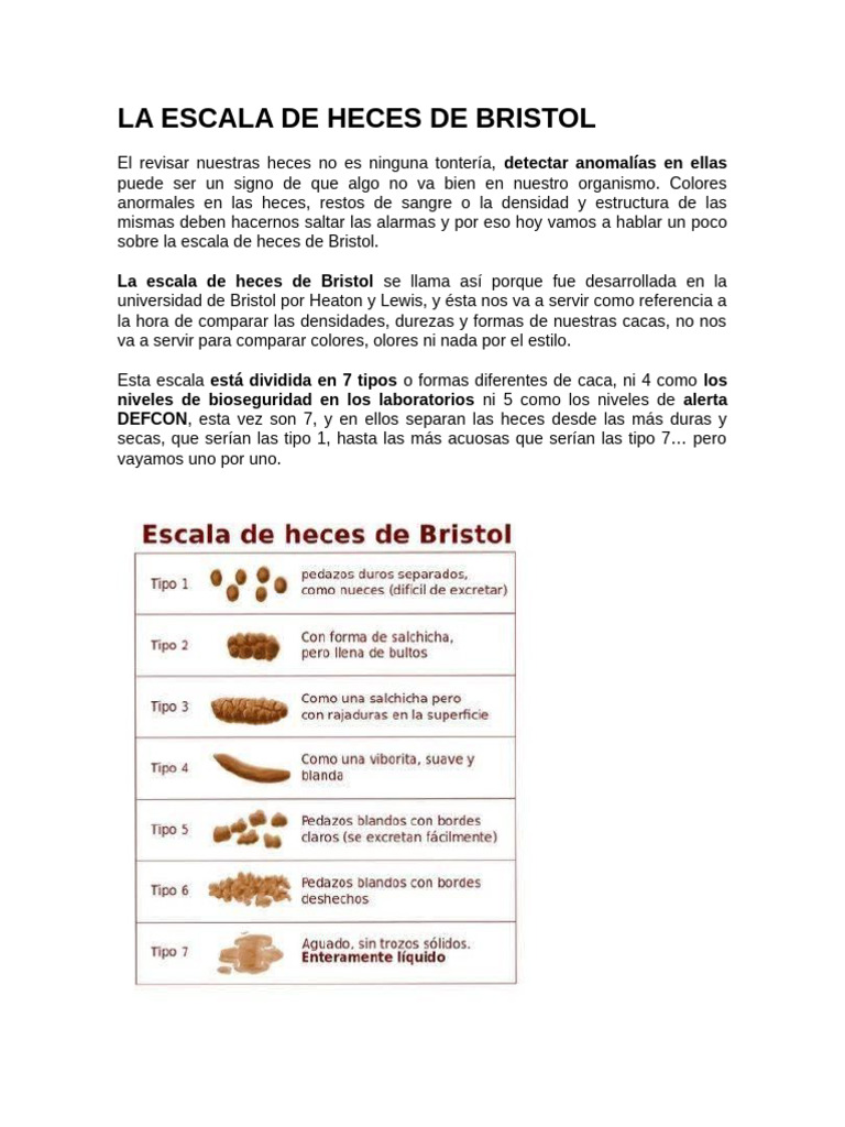 Escala de Heces de Bristol: Tipos y Significado | PDF | Heces ...