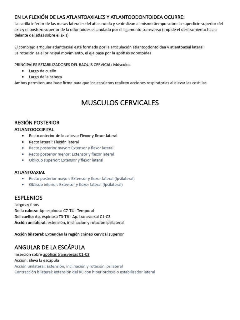 Anatomía y Función de Músculos Cervicales | PDF | Sistema esquelético ...