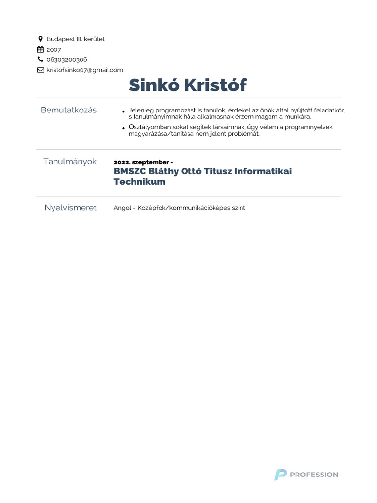 Sinko Kristof CV | PDF