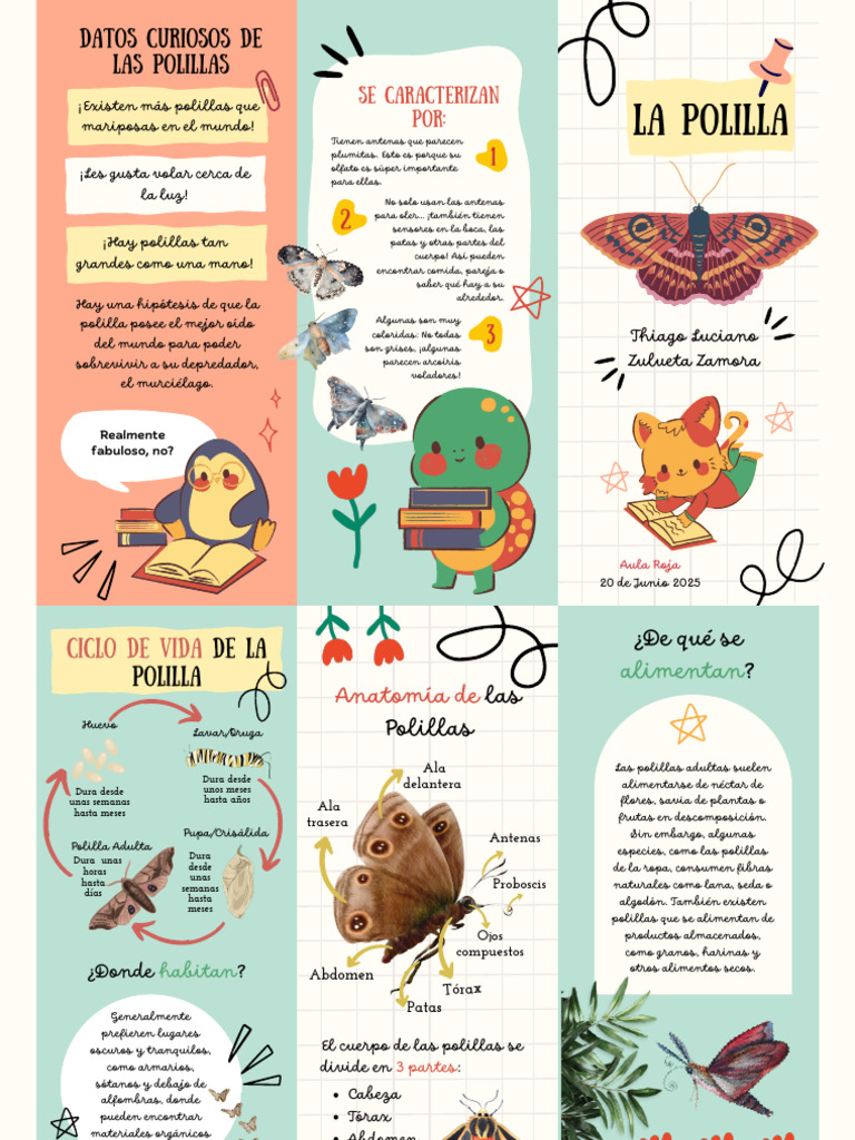 POLILLAS | PDF | Polilla | Lepidópteros