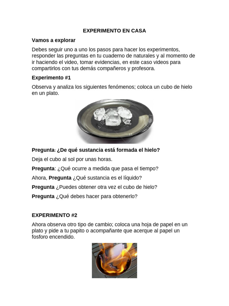 Experimentos Caseros de Ciencias Naturales | PDF