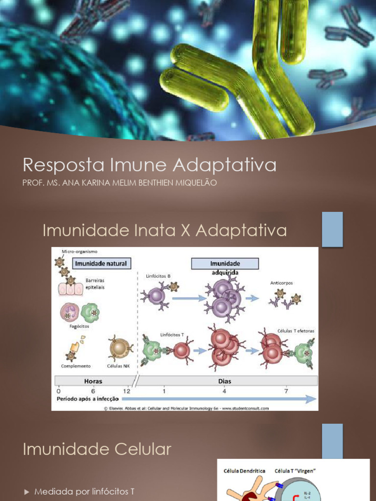 Resposta Imune Adaptativa Explicada | PDF | Célula T | Sistema imunológico