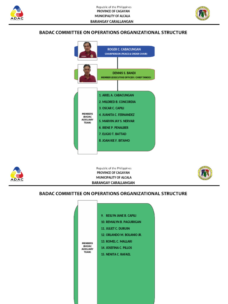 BADAC TEMPLATE - Committee On Operations Organizational Structure | PDF